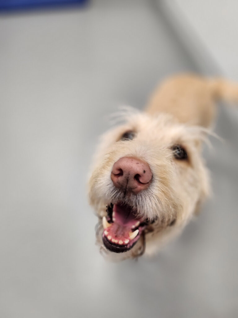 Case Studies - Nupsala MSK